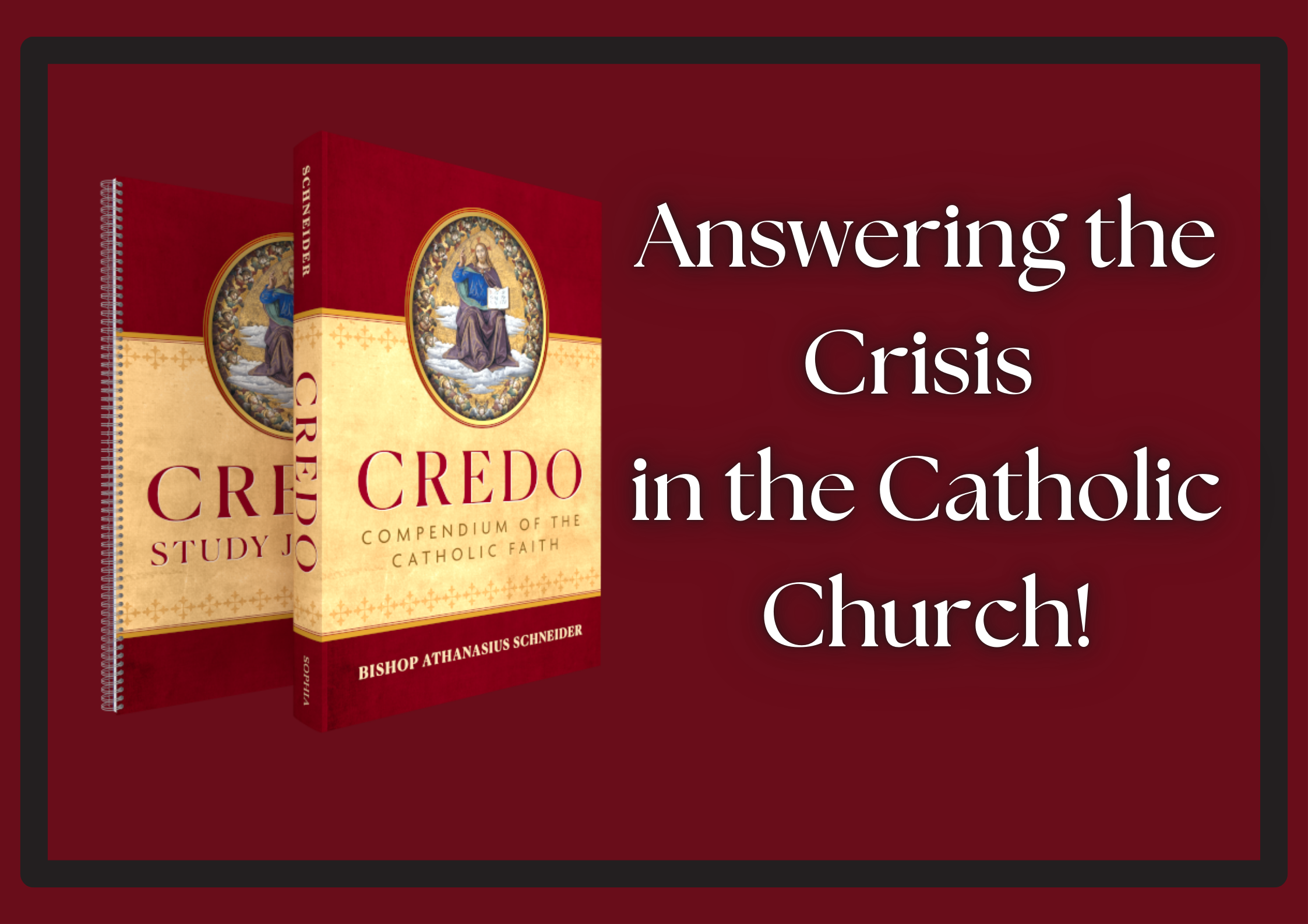 Answering the Crisis in the Catholic Church - Credo - By Bishop ...